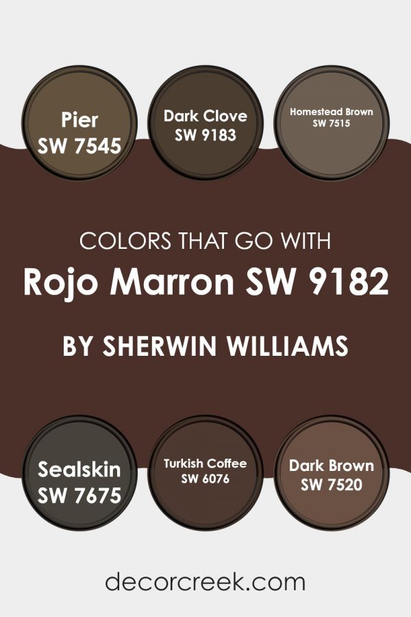Rojo Marron SW 9182 Paint Color by Sherwin Williams - DecorCreek