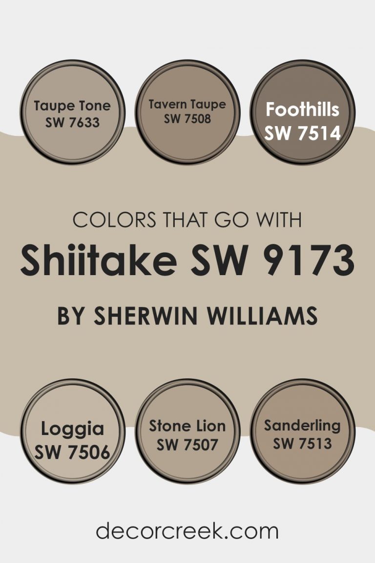 Shiitake SW 9173 Paint Color by Sherwin Williams - DecorCreek