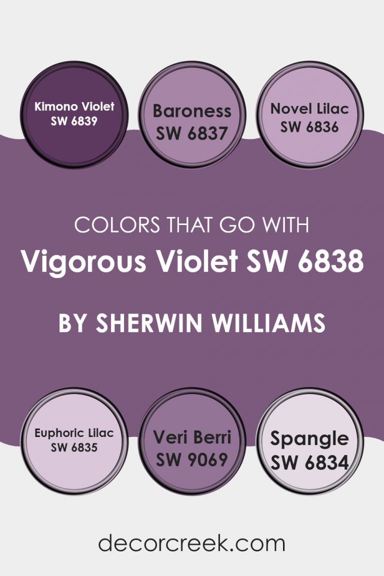 Vigorous Violet SW 6838 Paint Color by Sherwin Williams - DecorCreek