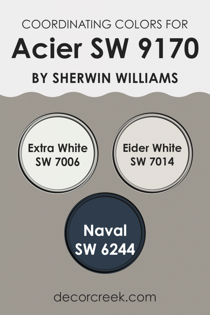 Acier SW 9170 Paint Color by Sherwin Williams - DecorCreek