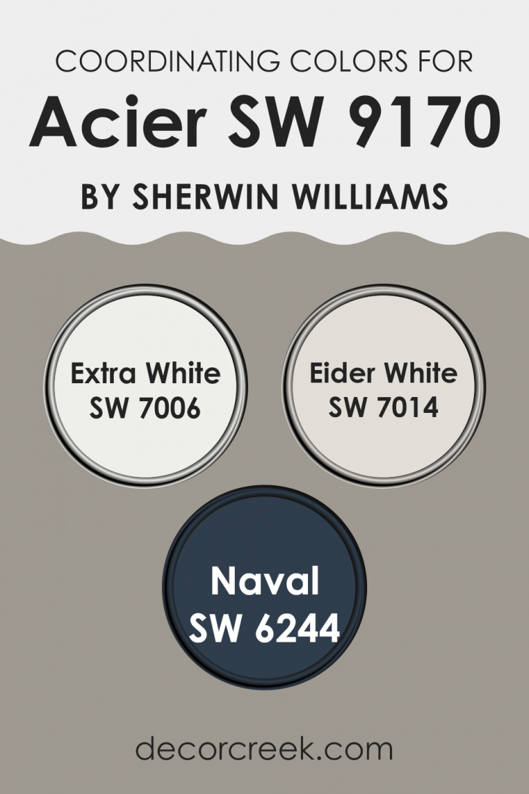 Acier SW 9170 Paint Color by Sherwin Williams - DecorCreek