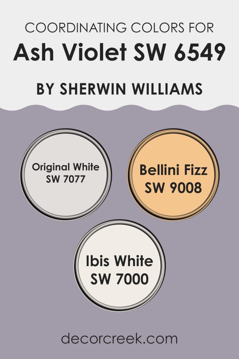 Ash Violet SW 6549 Paint Color by Sherwin Williams - DecorCreek