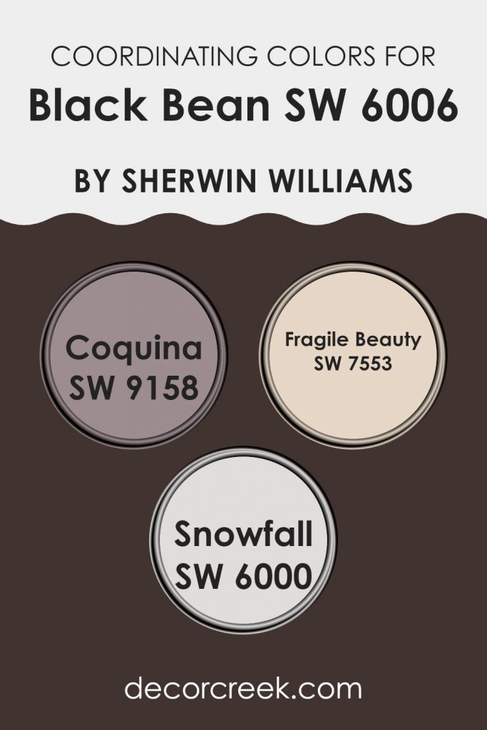 Black Bean SW 6006 Paint Color by Sherwin Williams - DecorCreek