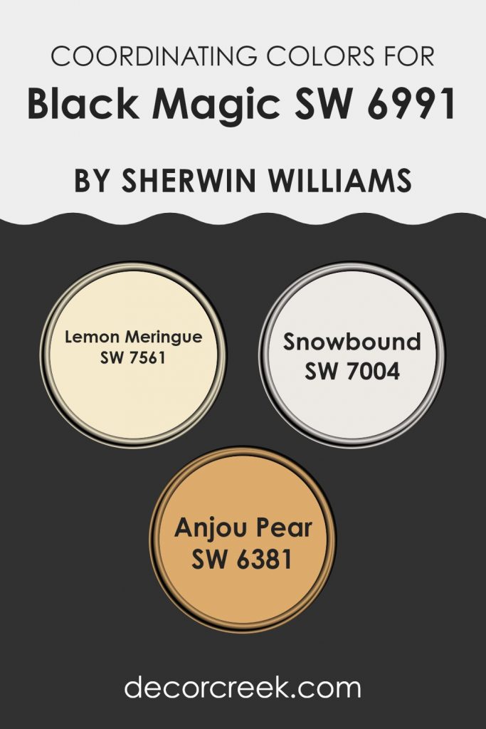 Black Magic SW 6991 Paint Color by Sherwin Williams - DecorCreek