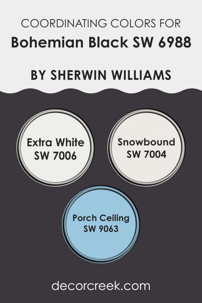 Bohemian Black SW 6988 Paint Color by Sherwin Williams - DecorCreek