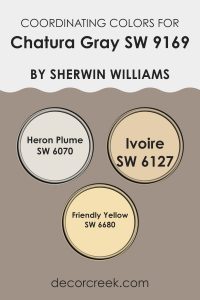 Chatura Gray SW 9169 Paint Color by Sherwin Williams - DecorCreek