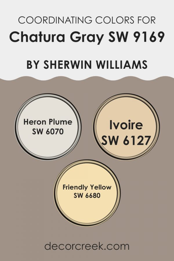 Chatura Gray SW 9169 Paint Color by Sherwin Williams - DecorCreek