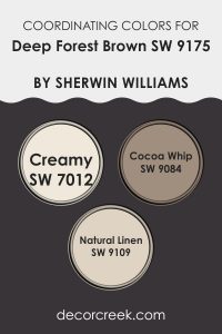 Deep Forest Brown SW 9175 Paint Color by Sherwin Williams - DecorCreek