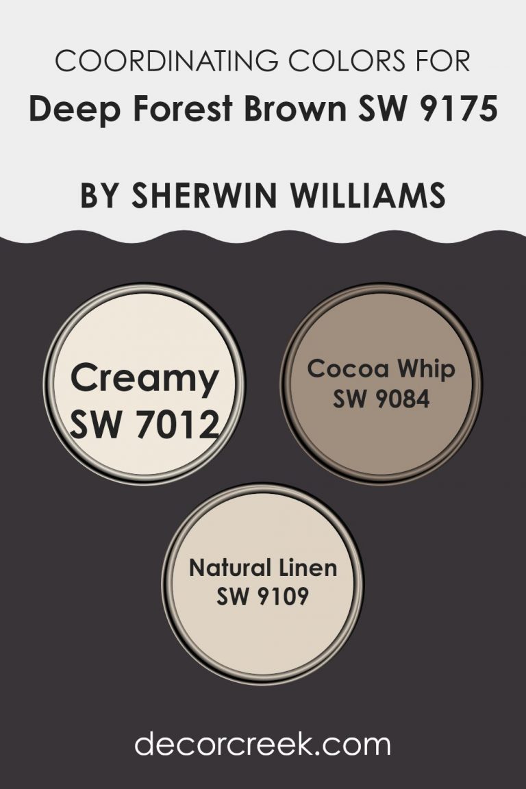 Deep Forest Brown SW 9175 Paint Color by Sherwin Williams - DecorCreek