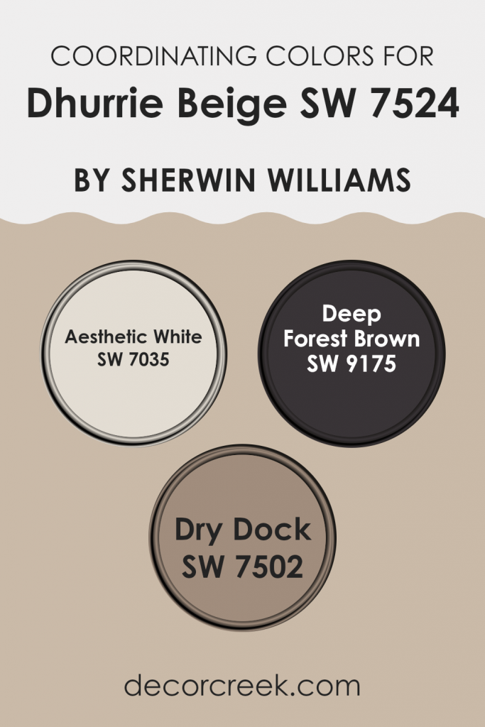 Dhurrie Beige SW 7524 Paint Color by Sherwin Williams - DecorCreek