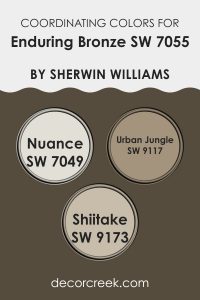 Enduring Bronze SW 7055 Paint Color by Sherwin Williams - DecorCreek