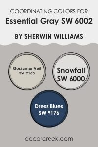 Essential Gray SW 6002 Paint Color by Sherwin Williams - DecorCreek