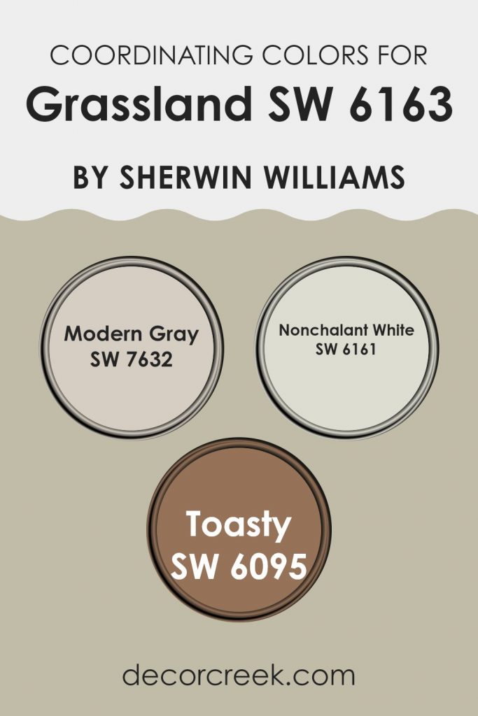 Grassland SW 6163 Paint Color by Sherwin Williams - DecorCreek
