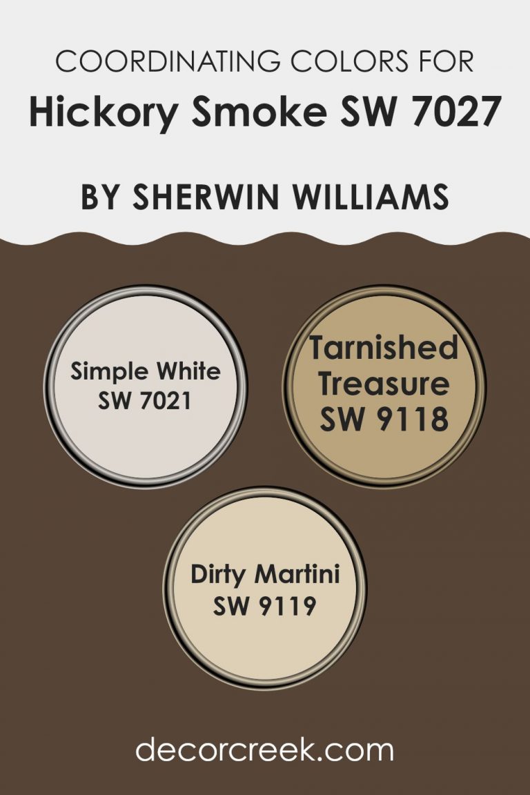 Hickory Smoke SW 7027 Paint Color by Sherwin Williams - DecorCreek