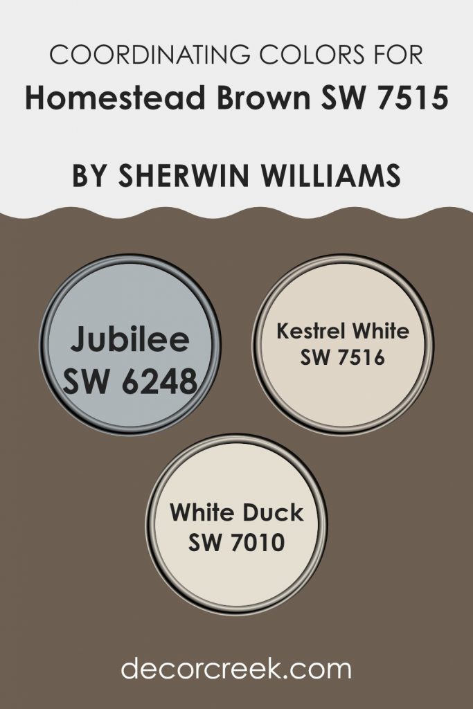 Homestead Brown SW 7515 Paint Color by Sherwin Williams - DecorCreek