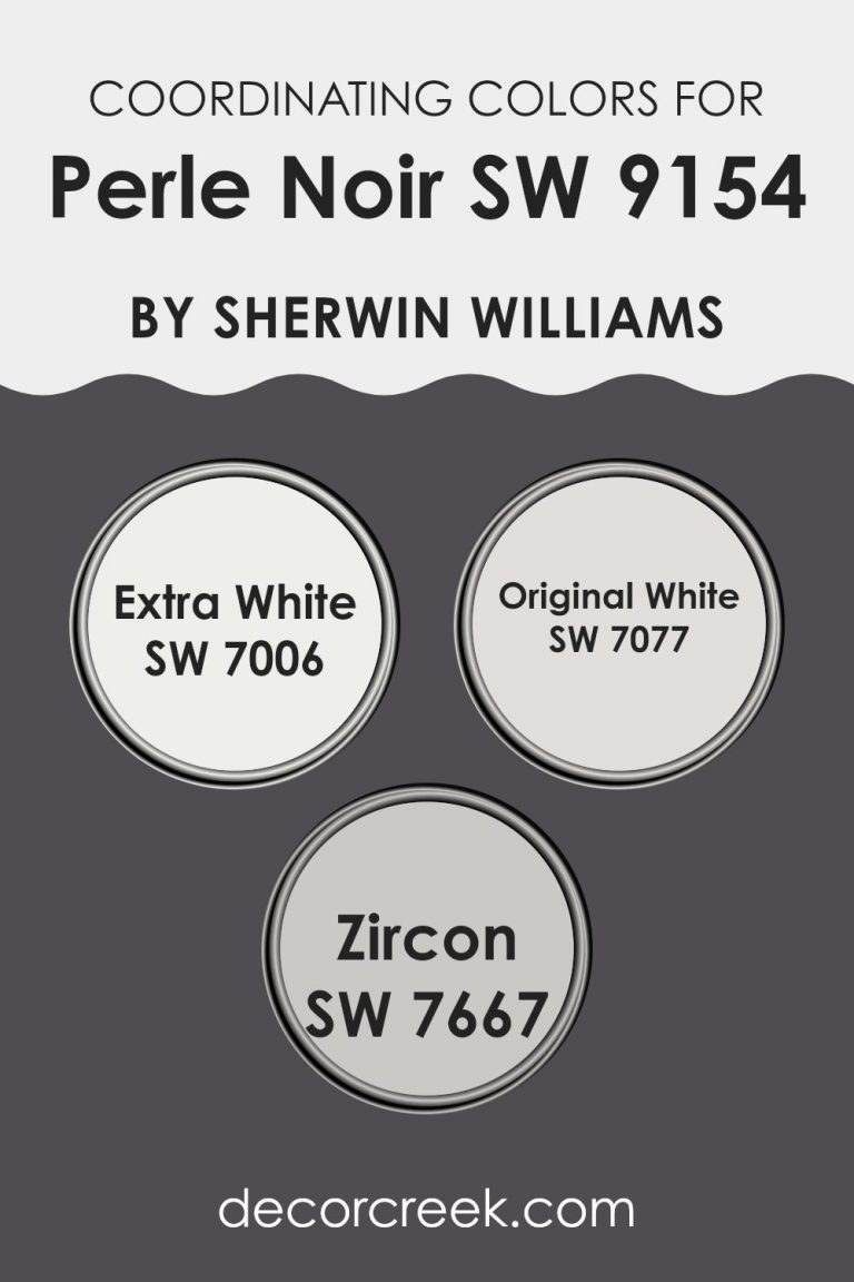 Perle Noir SW 9154 Paint Color by Sherwin Williams - DecorCreek