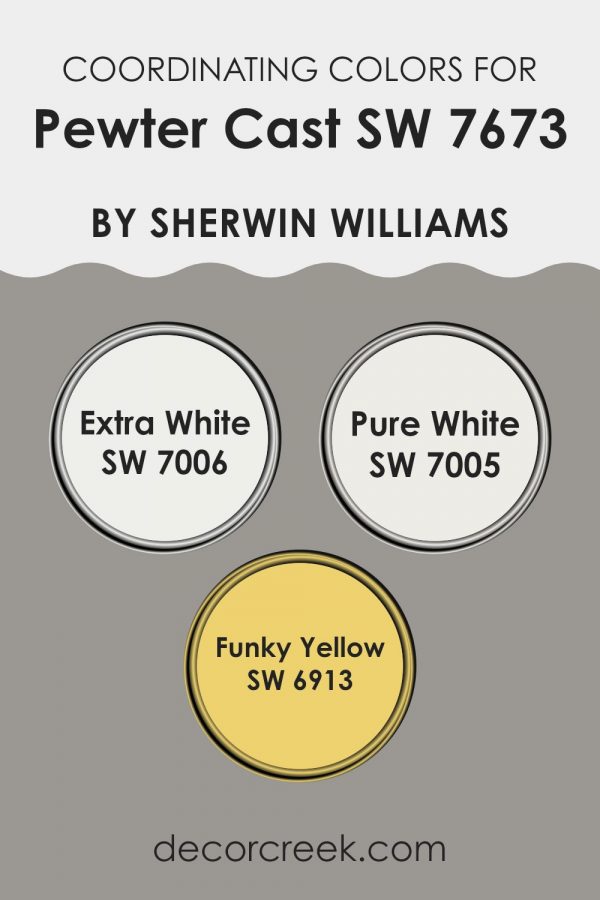 Pewter Cast SW 7673 Paint Color by Sherwin Williams - DecorCreek