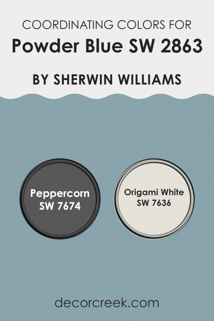 Powder Blue SW 2863 Paint Color by Sherwin Williams - DecorCreek