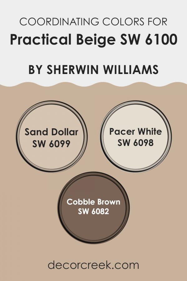 Practical Beige SW 6100 Paint Color by Sherwin Williams - DecorCreek