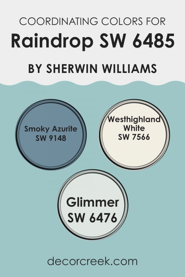 Raindrop SW 6485 Paint Color by Sherwin Williams - DecorCreek