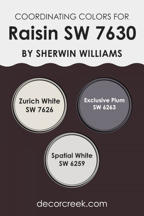 Raisin SW 7630 Paint Color by Sherwin Williams - DecorCreek