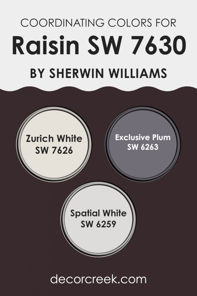 Raisin SW 7630 Paint Color by Sherwin Williams - DecorCreek