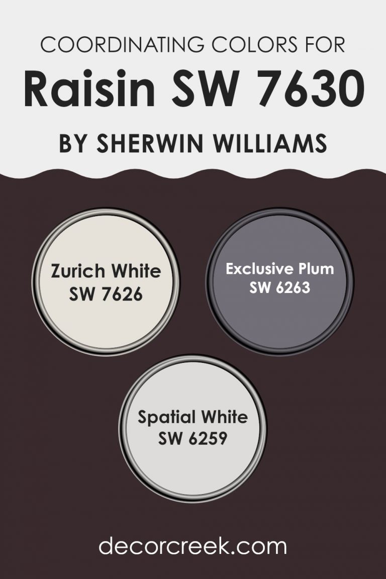 Raisin SW 7630 Paint Color by Sherwin Williams - DecorCreek