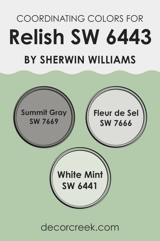 Relish SW 6443 Paint Color by Sherwin Williams - DecorCreek