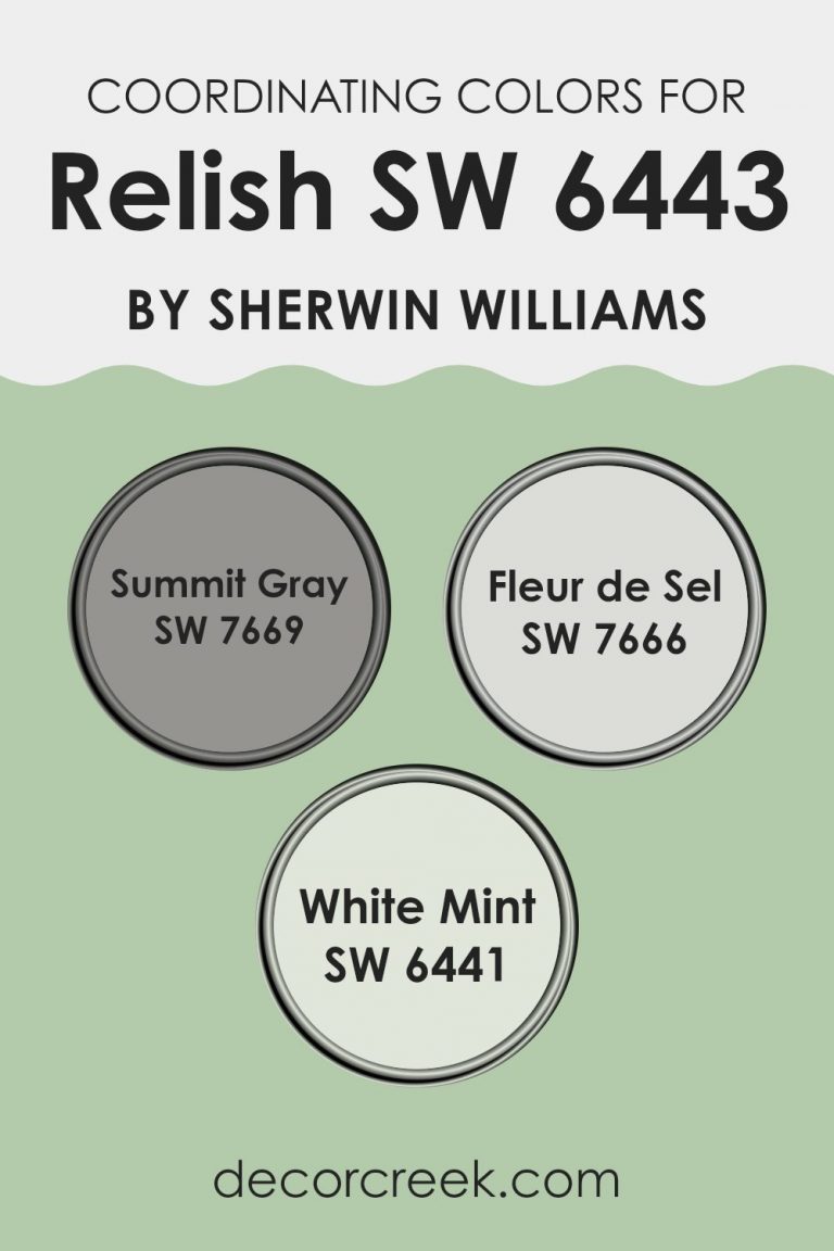 Relish SW 6443 Paint Color by Sherwin Williams - DecorCreek