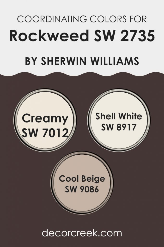 Rockweed SW 2735 Paint Color by Sherwin Williams - DecorCreek