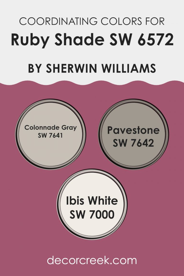 Ruby Shade SW 6572 Paint Color by Sherwin Williams - DecorCreek