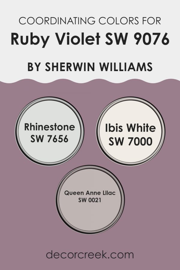 Ruby Violet SW 9076 Paint Color by Sherwin Williams - DecorCreek