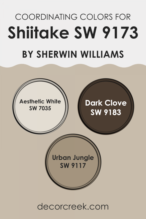 Shiitake SW 9173 Paint Color by Sherwin Williams - DecorCreek