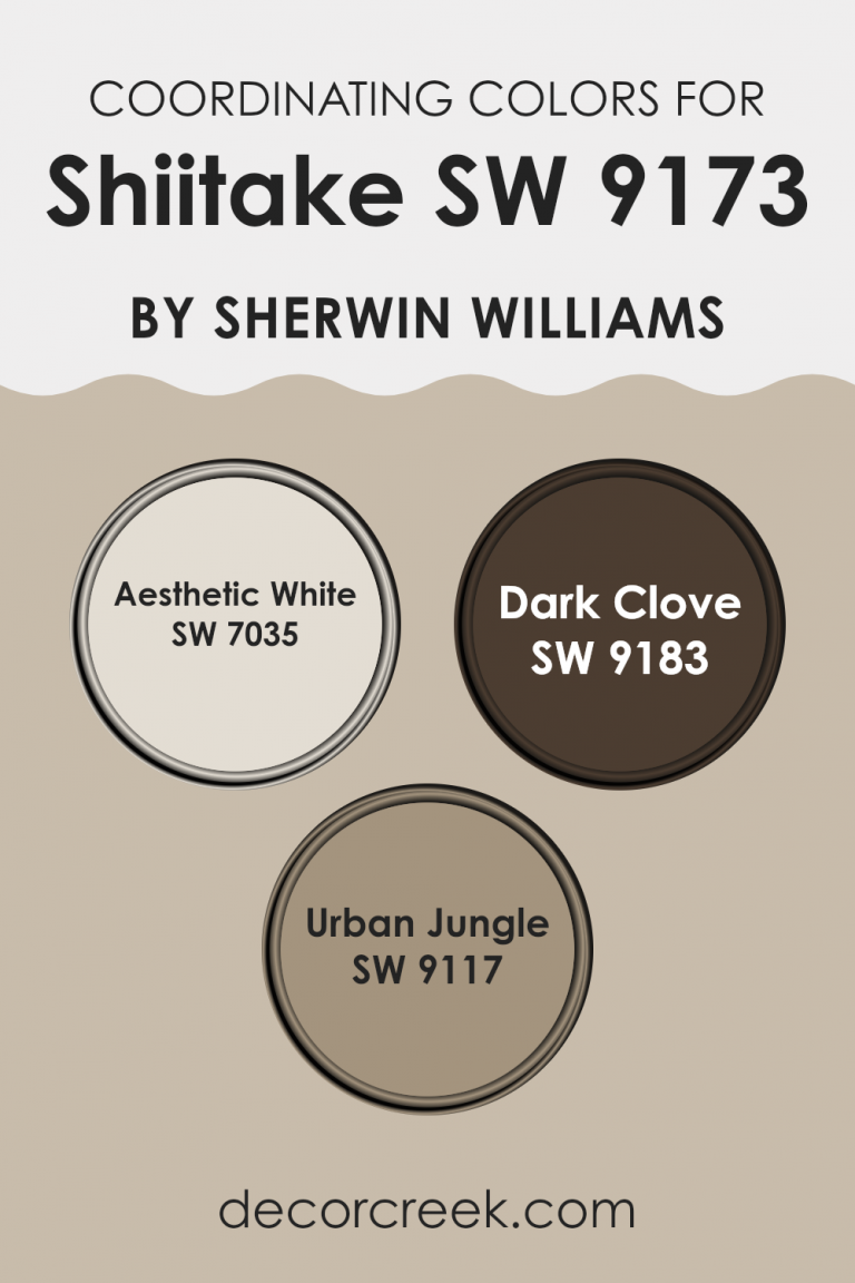 Shiitake SW 9173 Paint Color by Sherwin Williams - DecorCreek
