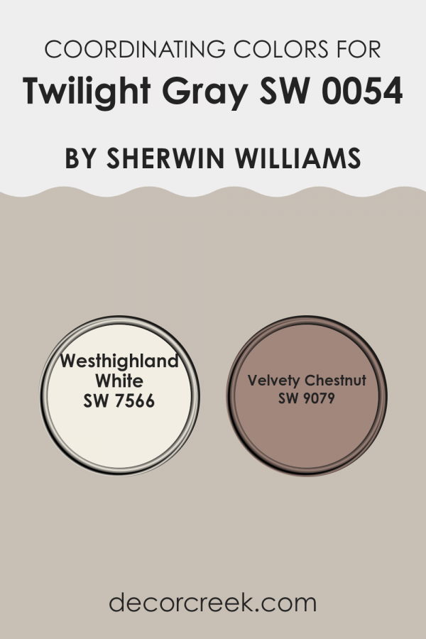 Twilight Gray SW 0054 Paint Color by Sherwin Williams - DecorCreek
