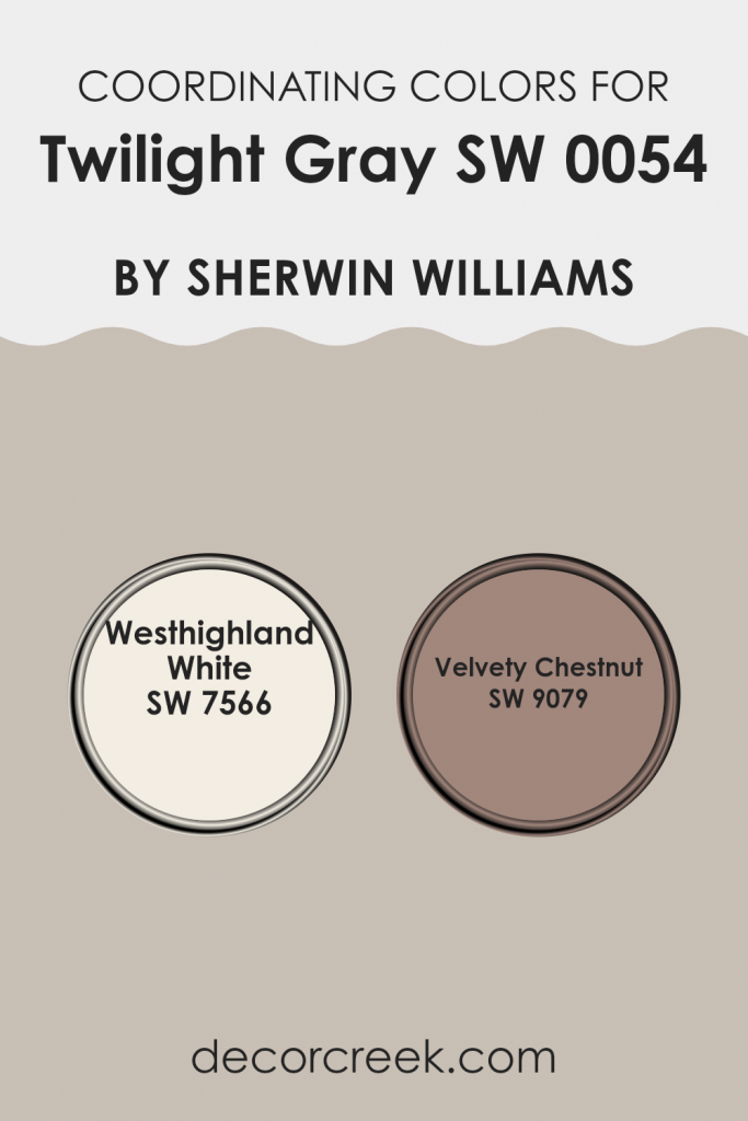 Twilight Gray SW 0054 Paint Color by Sherwin Williams - DecorCreek
