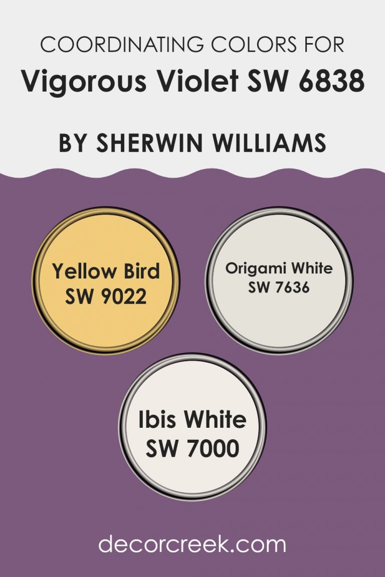 Vigorous Violet SW 6838 Paint Color by Sherwin Williams - DecorCreek