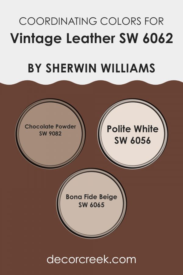 Vintage Leather SW 6062 Paint Color by Sherwin Williams - DecorCreek