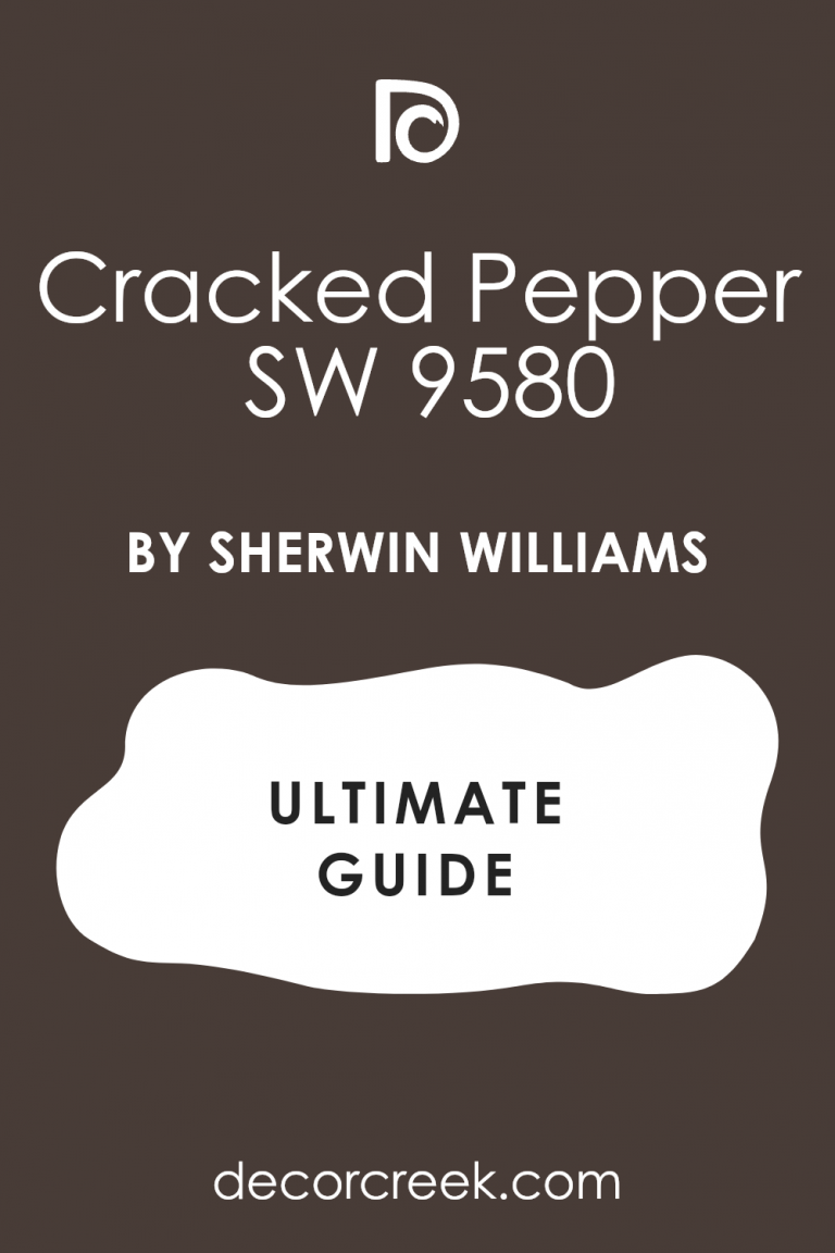 Cracked Pepper SW 9580 Paint Color by Sherwin Williams - DecorCreek