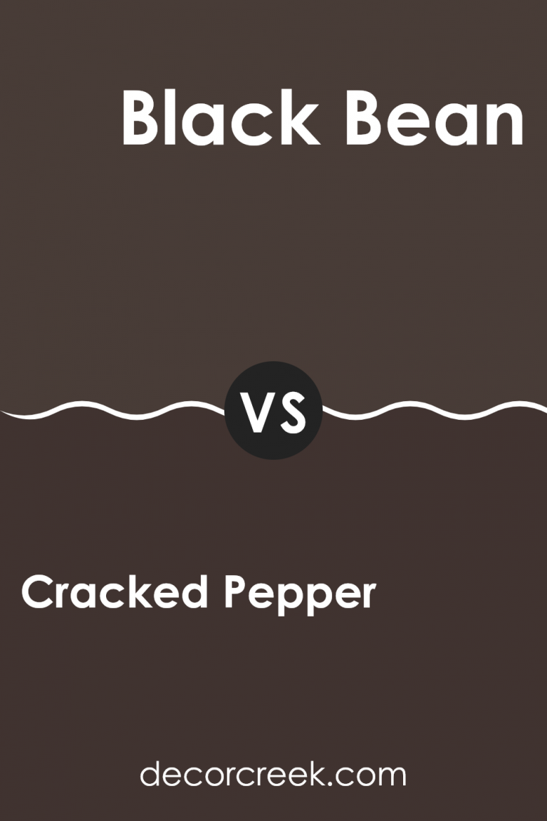 Cracked Pepper SW 9580 Paint Color by Sherwin Williams - DecorCreek