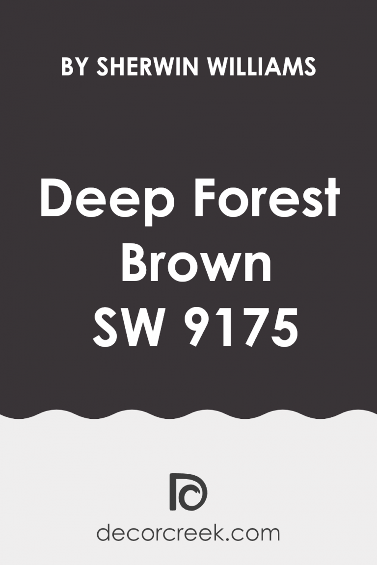 Deep Forest Brown SW 9175 Paint Color by Sherwin Williams - DecorCreek