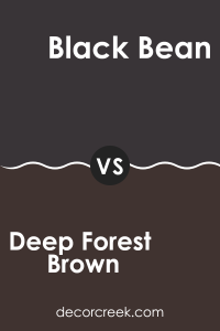 Deep Forest Brown SW 9175 Paint Color by Sherwin Williams - DecorCreek