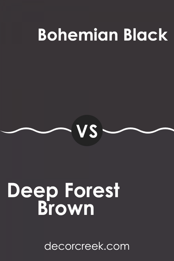 Deep Forest Brown SW 9175 Paint Color by Sherwin Williams - DecorCreek