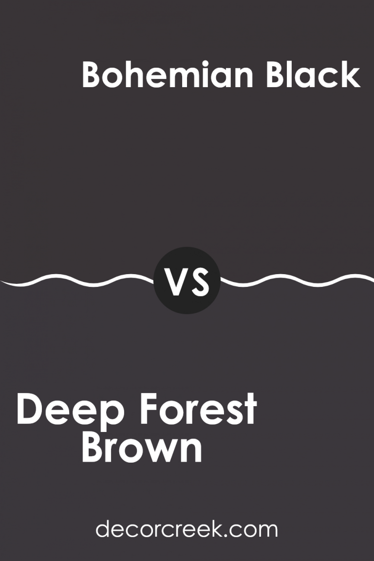 Deep Forest Brown SW 9175 Paint Color by Sherwin Williams - DecorCreek