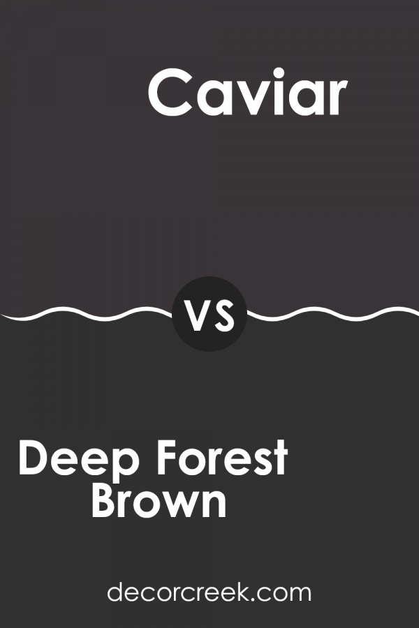 Deep Forest Brown SW 9175 Paint Color by Sherwin Williams - DecorCreek