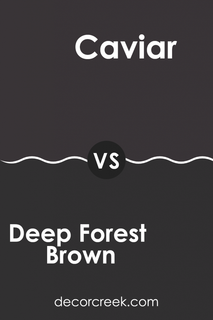 Deep Forest Brown SW 9175 Paint Color by Sherwin Williams - DecorCreek