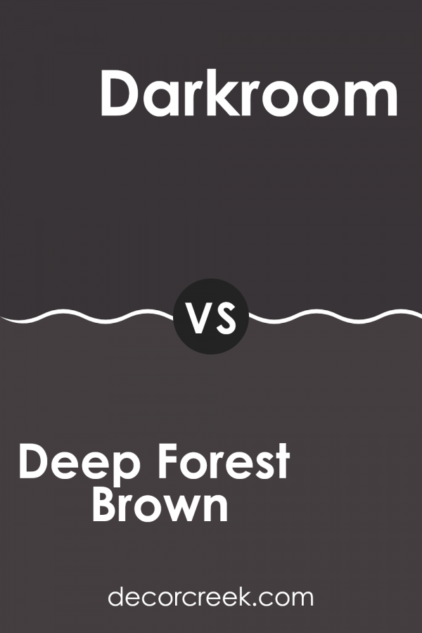 Deep Forest Brown SW 9175 Paint Color by Sherwin Williams - DecorCreek