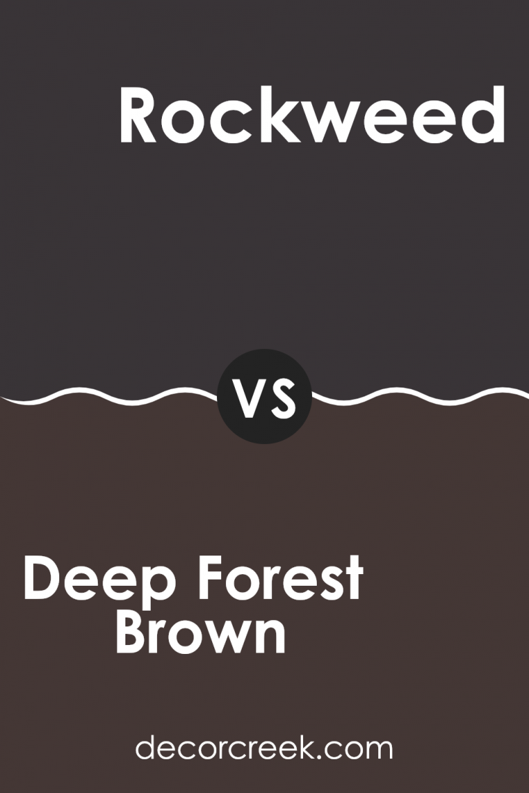 Deep Forest Brown SW 9175 Paint Color by Sherwin Williams - DecorCreek