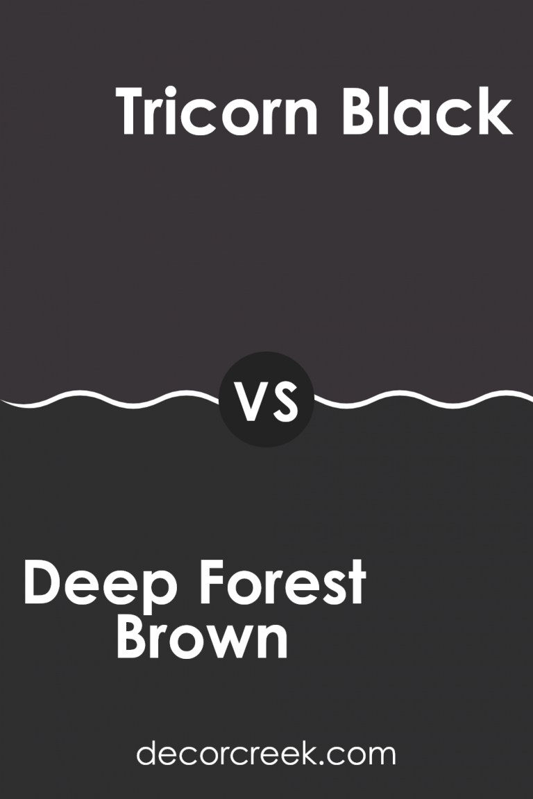 Deep Forest Brown SW 9175 Paint Color by Sherwin Williams - DecorCreek