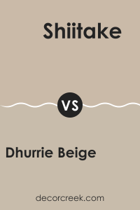 Dhurrie Beige SW 7524 Paint Color by Sherwin Williams - DecorCreek